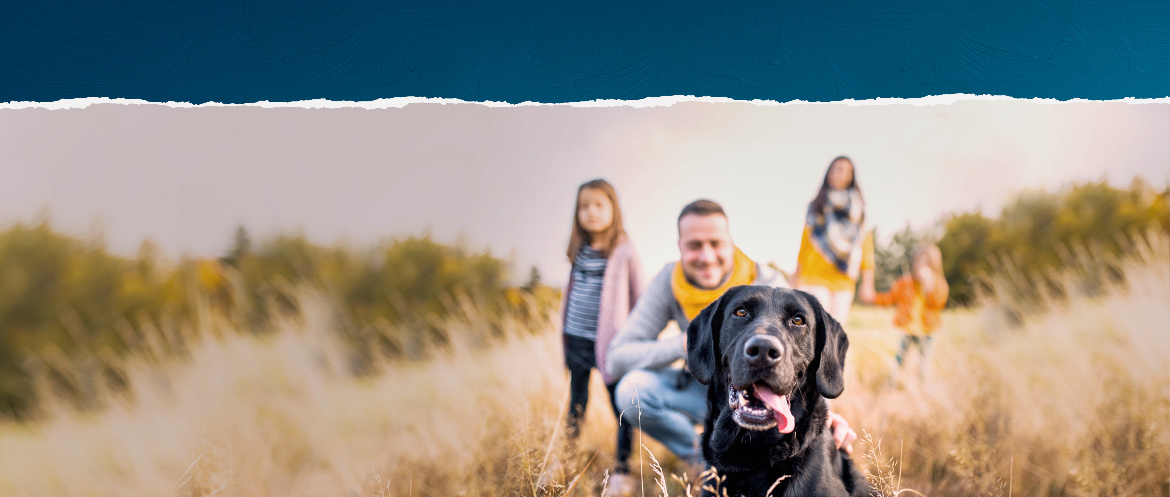 Caledon Farms All Natural Dog and Cat Treats – Caledon Farms Canada