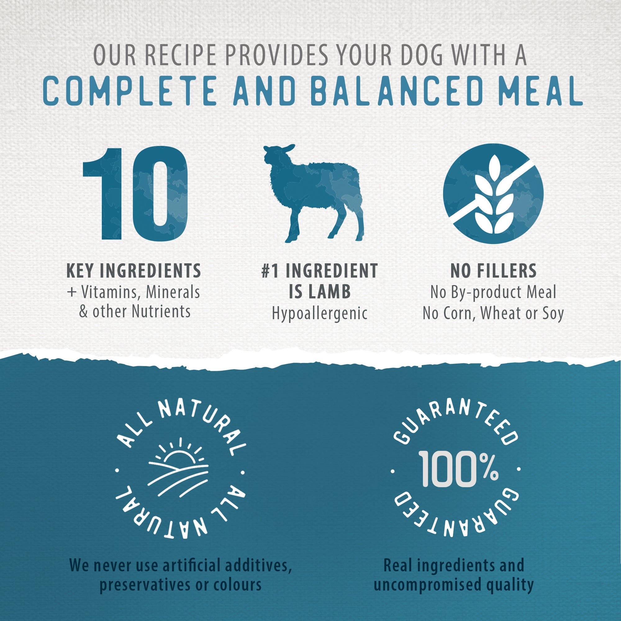 Freeze-Dried Coated Lamb Recipe 1.8kg – Caledon Farms